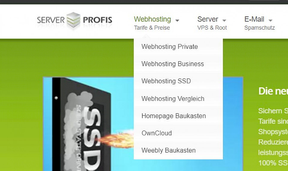 Im Test - günstiges PHP Webhosting bei serverprofis.de